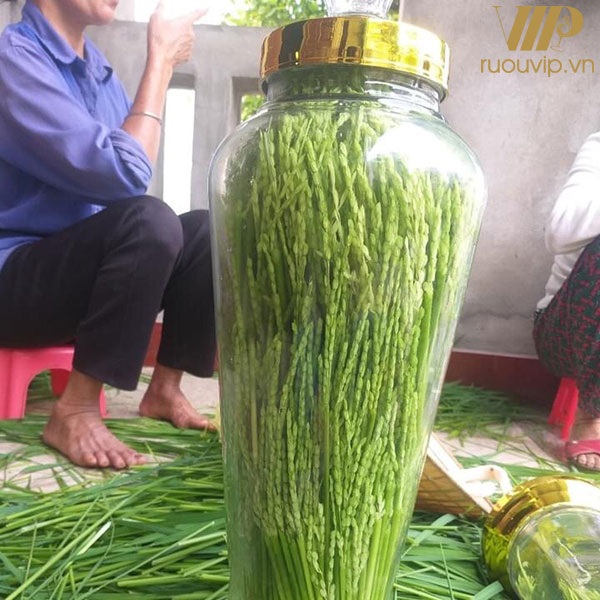 Rượu đòng đòng - loại rượu truyền thống của người Tày